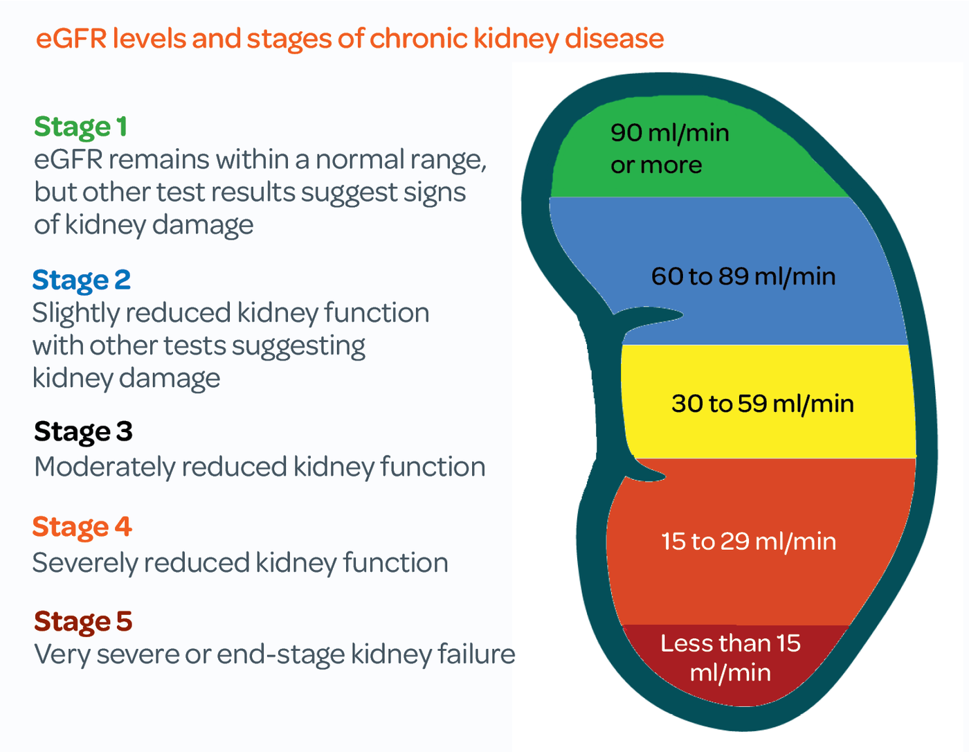 Early stage chronic kidney disease (CKD) | Kidney Care UK