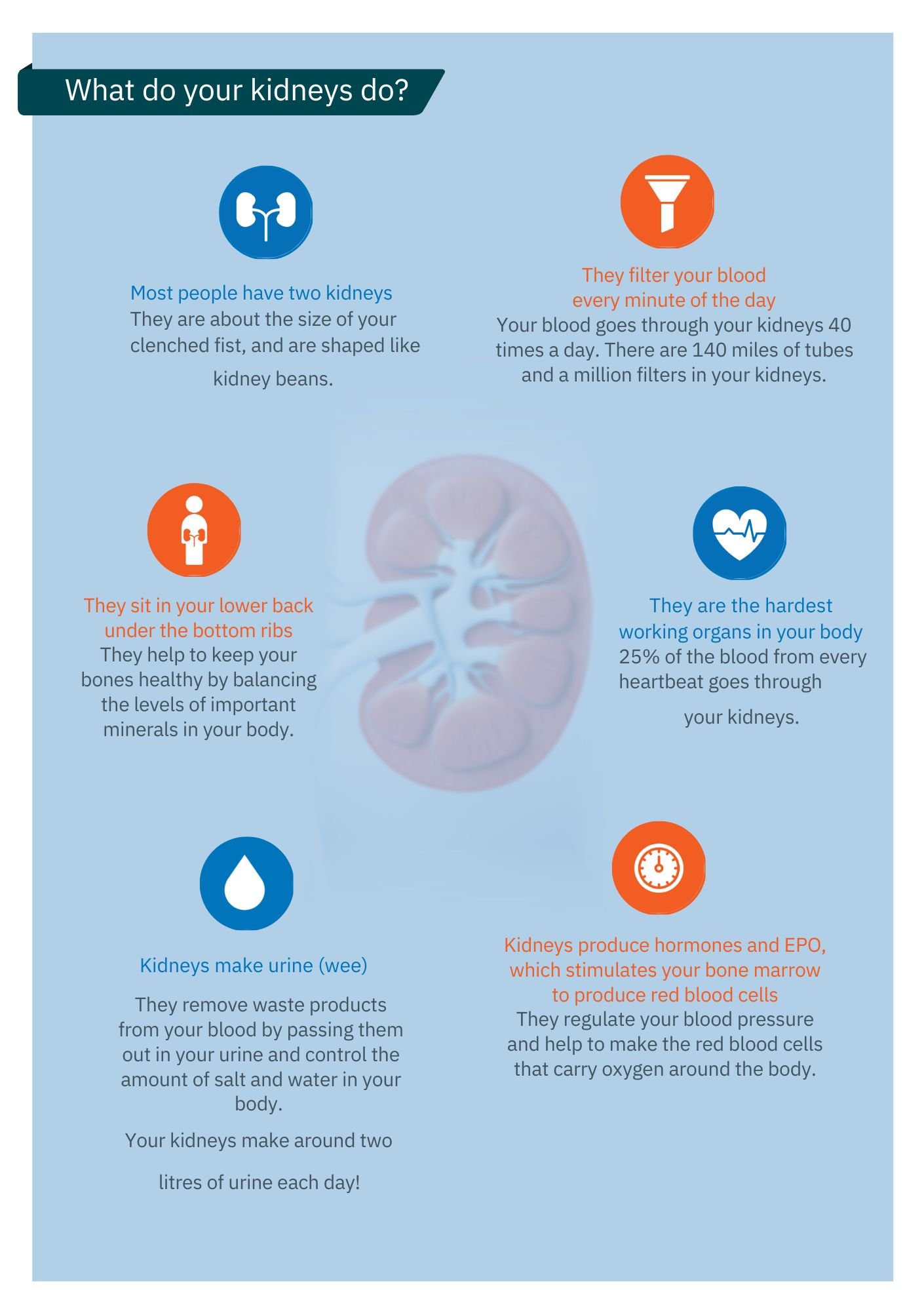 Early stage chronic kidney disease (CKD) | Kidney Care UK